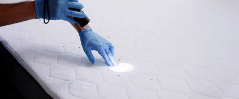 Aprehend Treatment vs Other Bed Bug Treatments: Pros and Cons - Bed ...